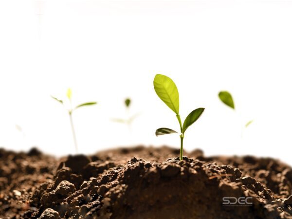 Humidité du sol: les différentes techniques – SDEC France