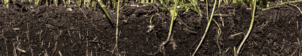 Humidité du sol: les différentes techniques – SDEC France