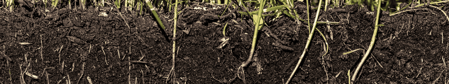 Humidité du sol: les différentes techniques – SDEC France