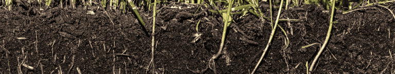 Humidité du sol: les différentes techniques – SDEC France